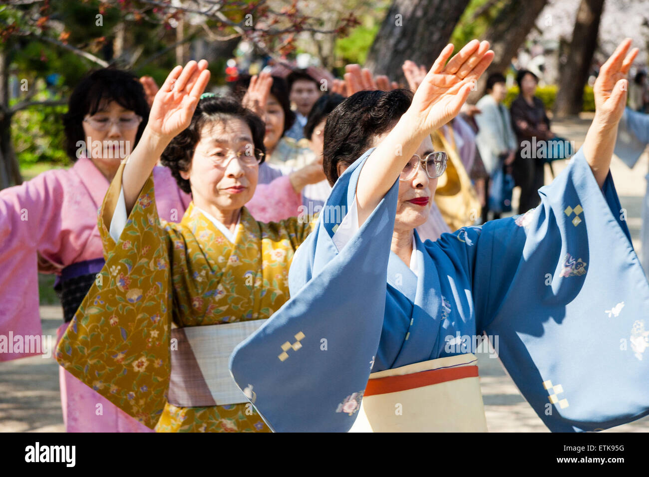 Close up of senior women dressed in kimonos dancing a springtime cherry ...