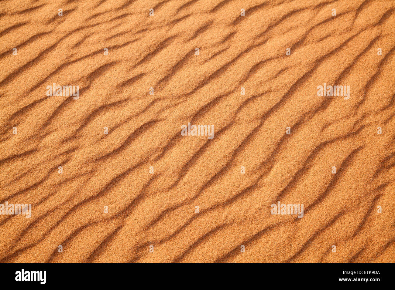 Red sand "Arabian desert" near Dubai, United Arab Emirates Stock Photo ...
