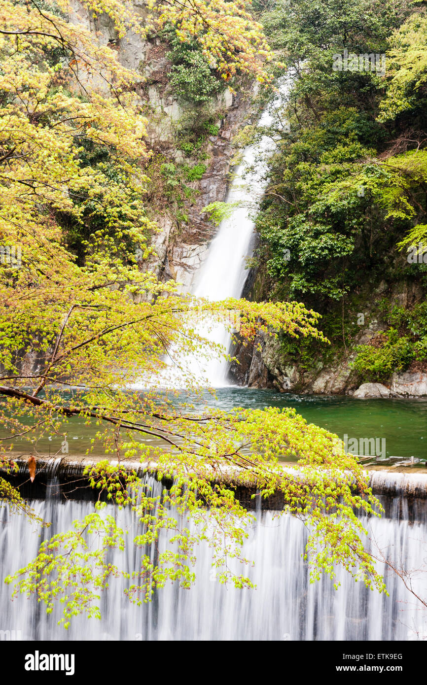 The famous beauty spot, the Nunobiki waterfalls at Kobe, Japan. Mentaki ...