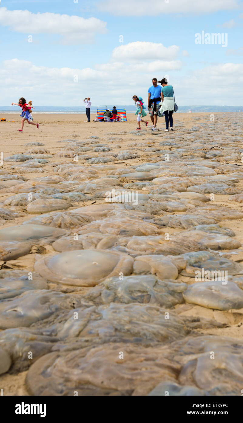 Cefn sidan beach wales hi-res stock photography and images - Alamy