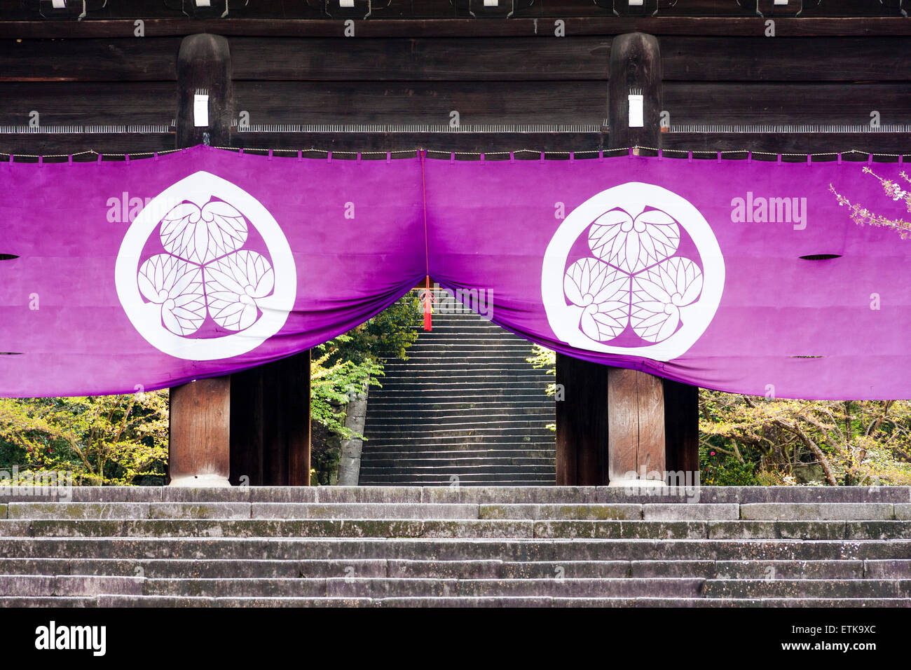 Close up of two large purple curtain banners with crest, tied back in ...