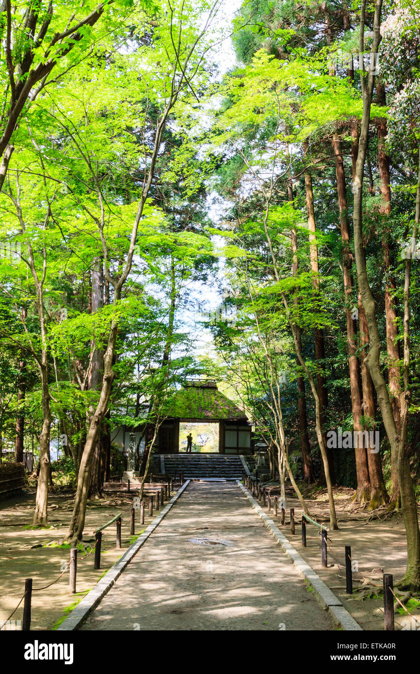 Tree lined paved pathway leading to stone steps and roofed gateway ...