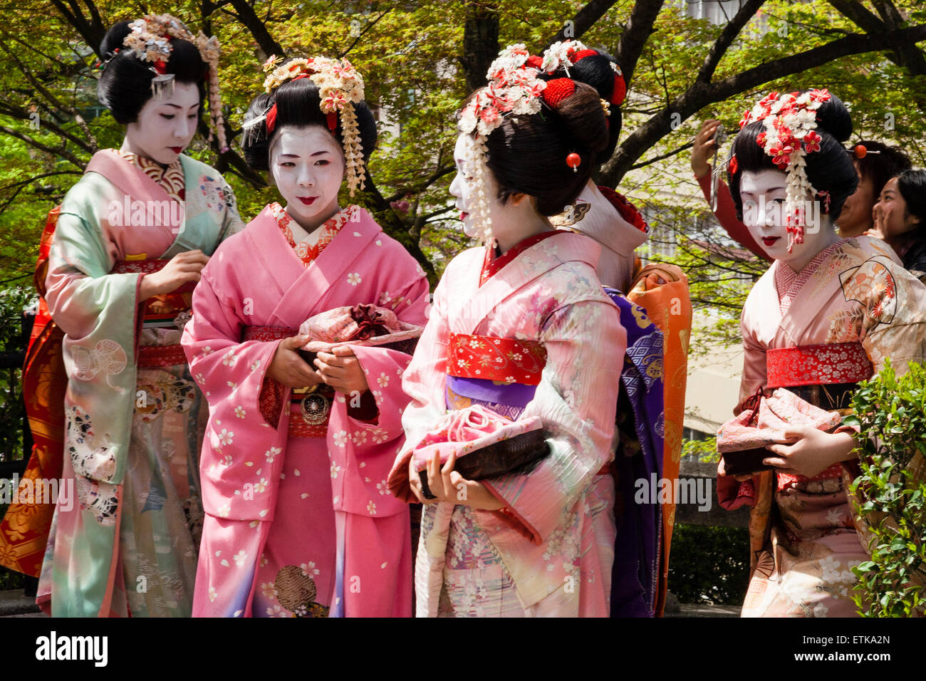 Japan, Kyoto. Group of Japanese geisha, geiko, wearing kimono, walking ...