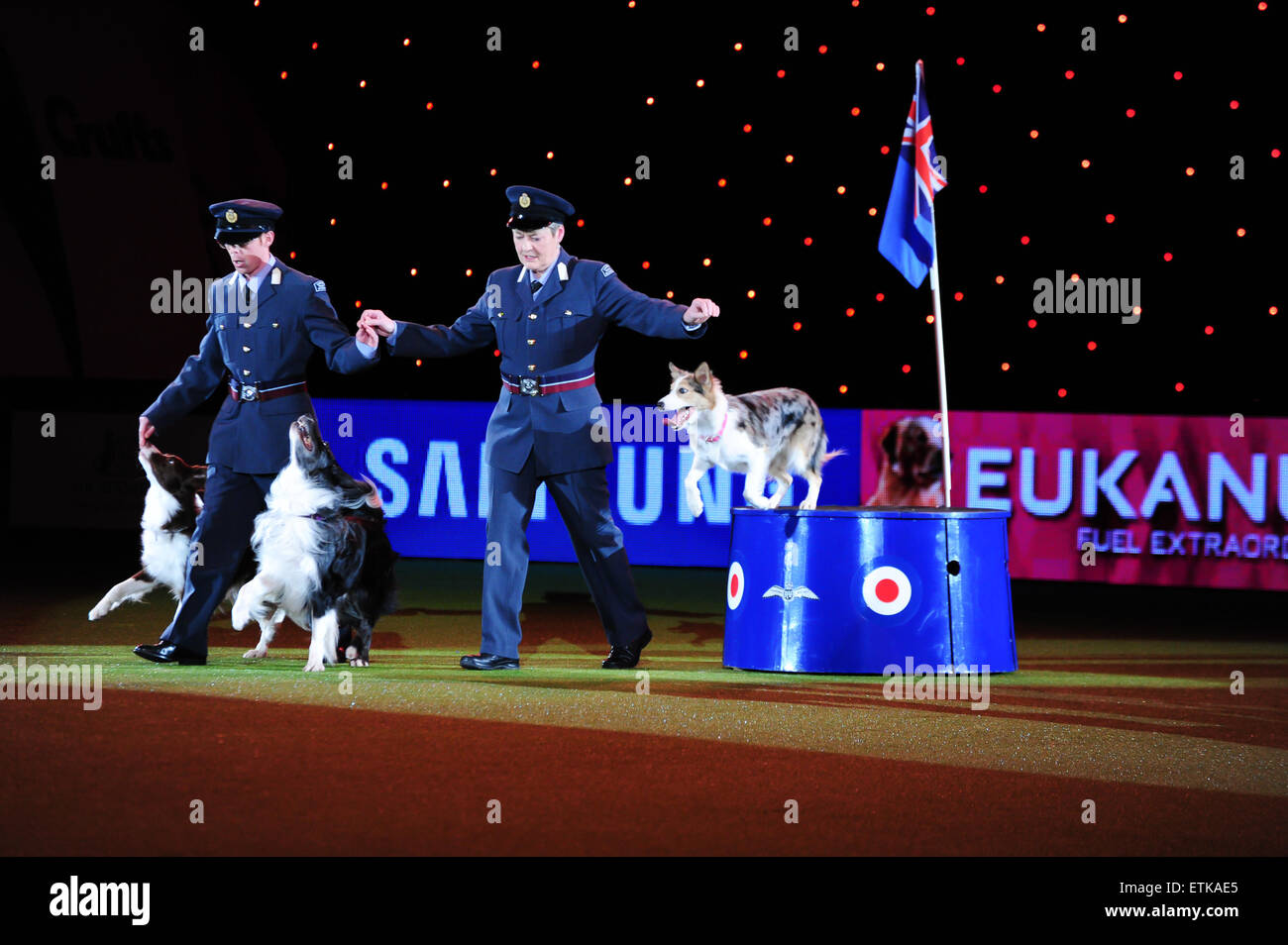 Crufts held at the Birmingham NEC - Day 4 Crufts Best in Show 2015 ...