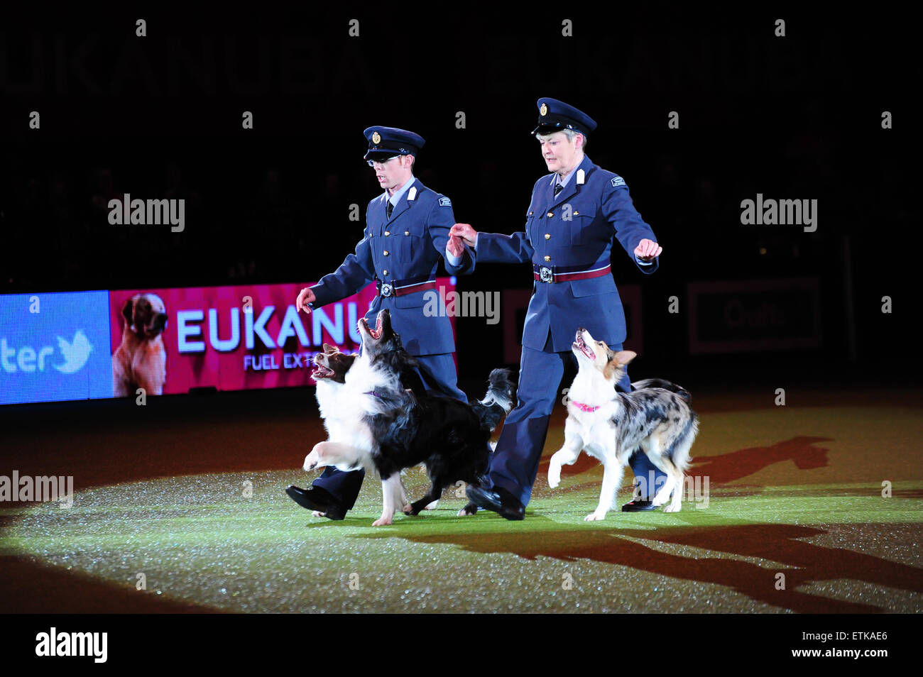 Crufts held at the Birmingham NEC - Day 4 Crufts Best in Show 2015 ...