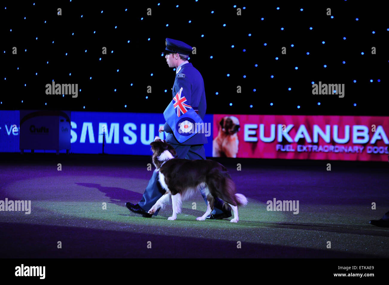 Crufts held at the Birmingham NEC - Day 4 Crufts Best in Show 2015 ...