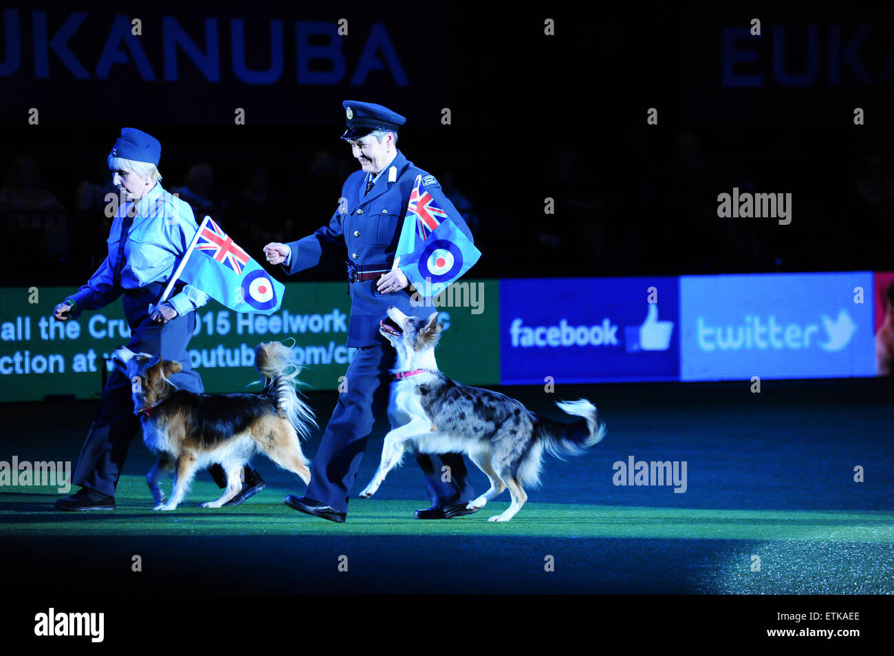 Crufts held at the Birmingham NEC - Day 4 Crufts Best in Show 2015 ...