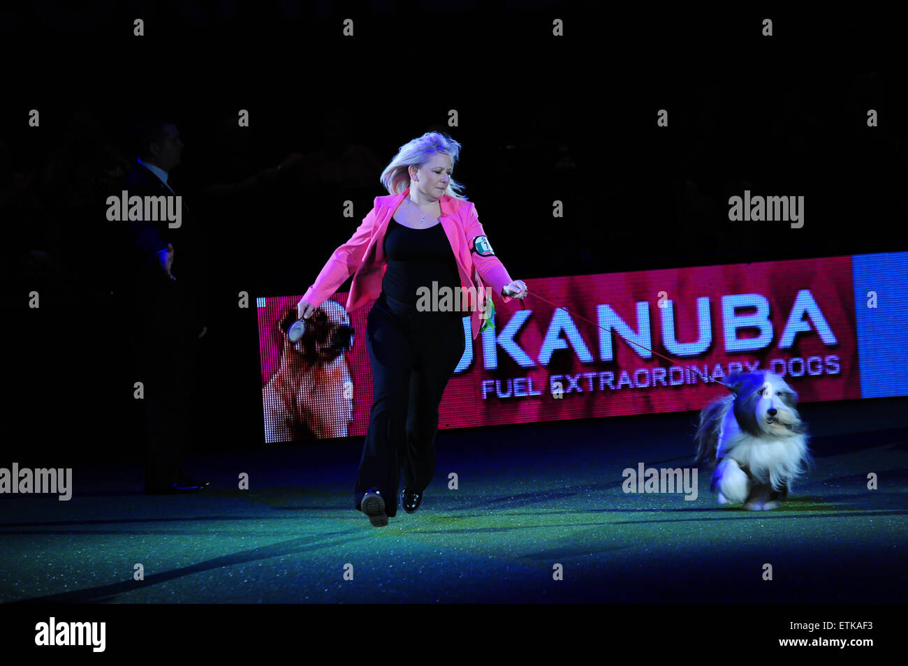 Crufts held at the Birmingham NEC - Day 4 Crufts Best in Show 2015 ...