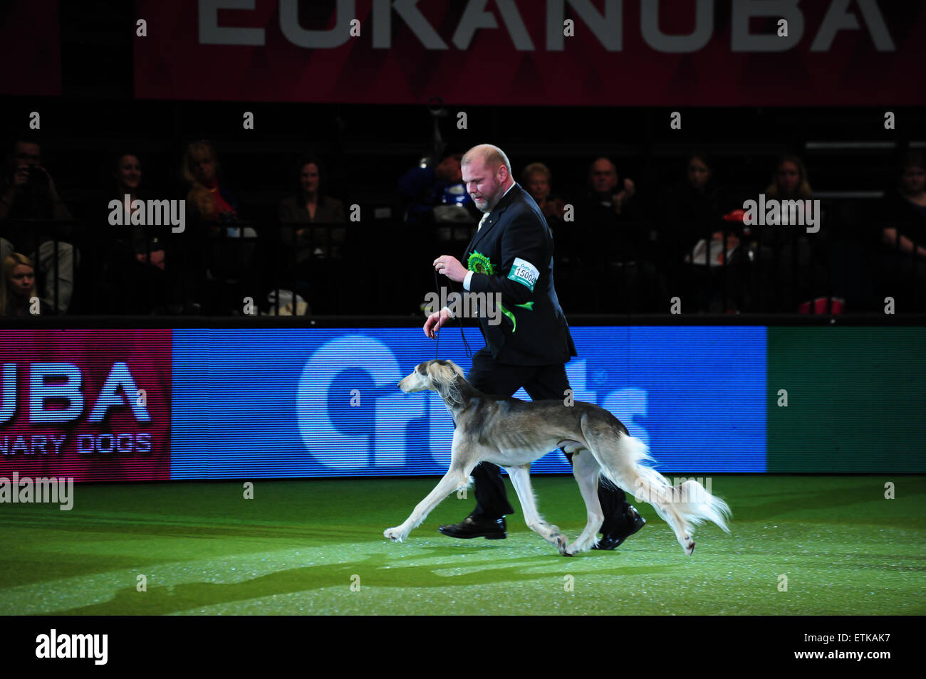 Crufts held at the Birmingham NEC - Day 4 Crufts Best in Show 2015 ...