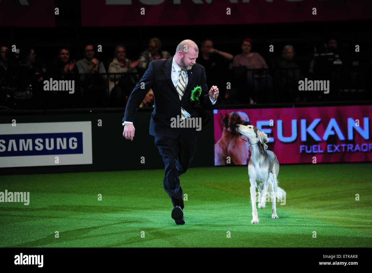 Crufts held at the Birmingham NEC - Day 4 Crufts Best in Show 2015 ...