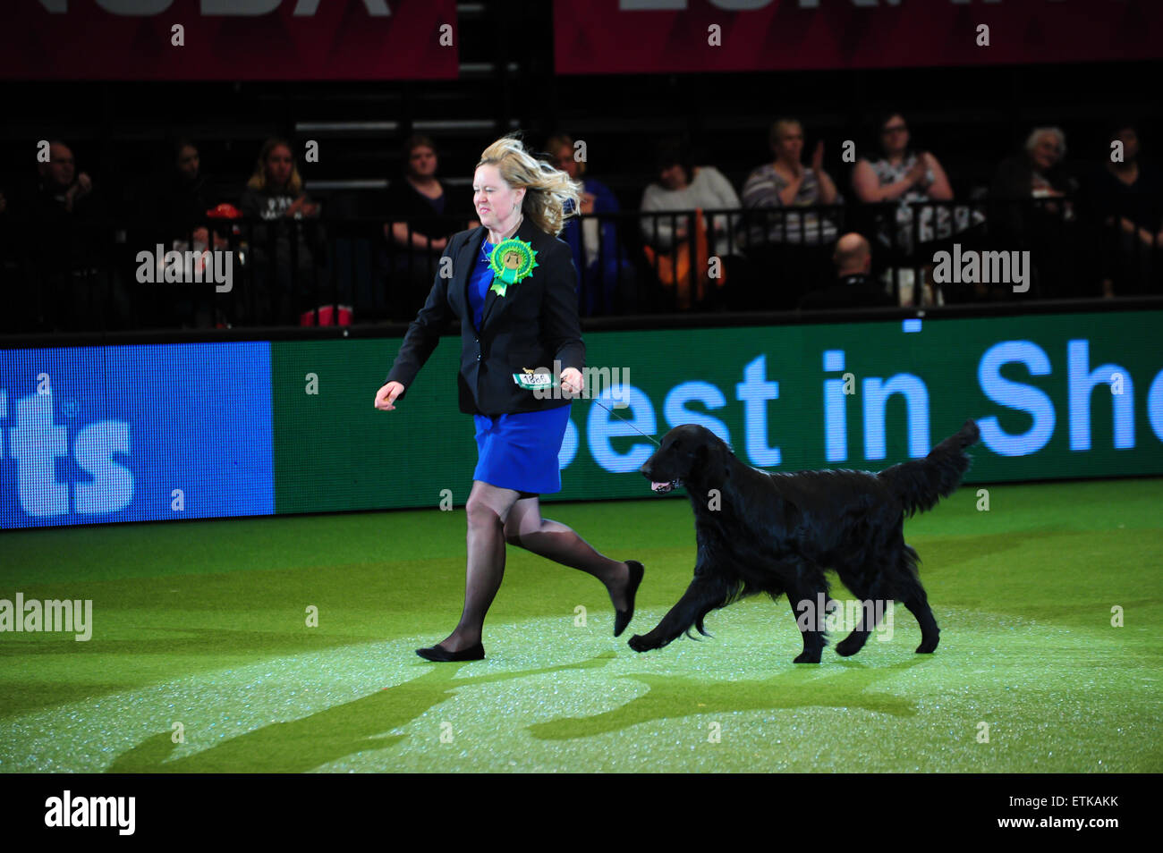 Crufts held at the Birmingham NEC - Day 4 Crufts Best in Show 2015 ...