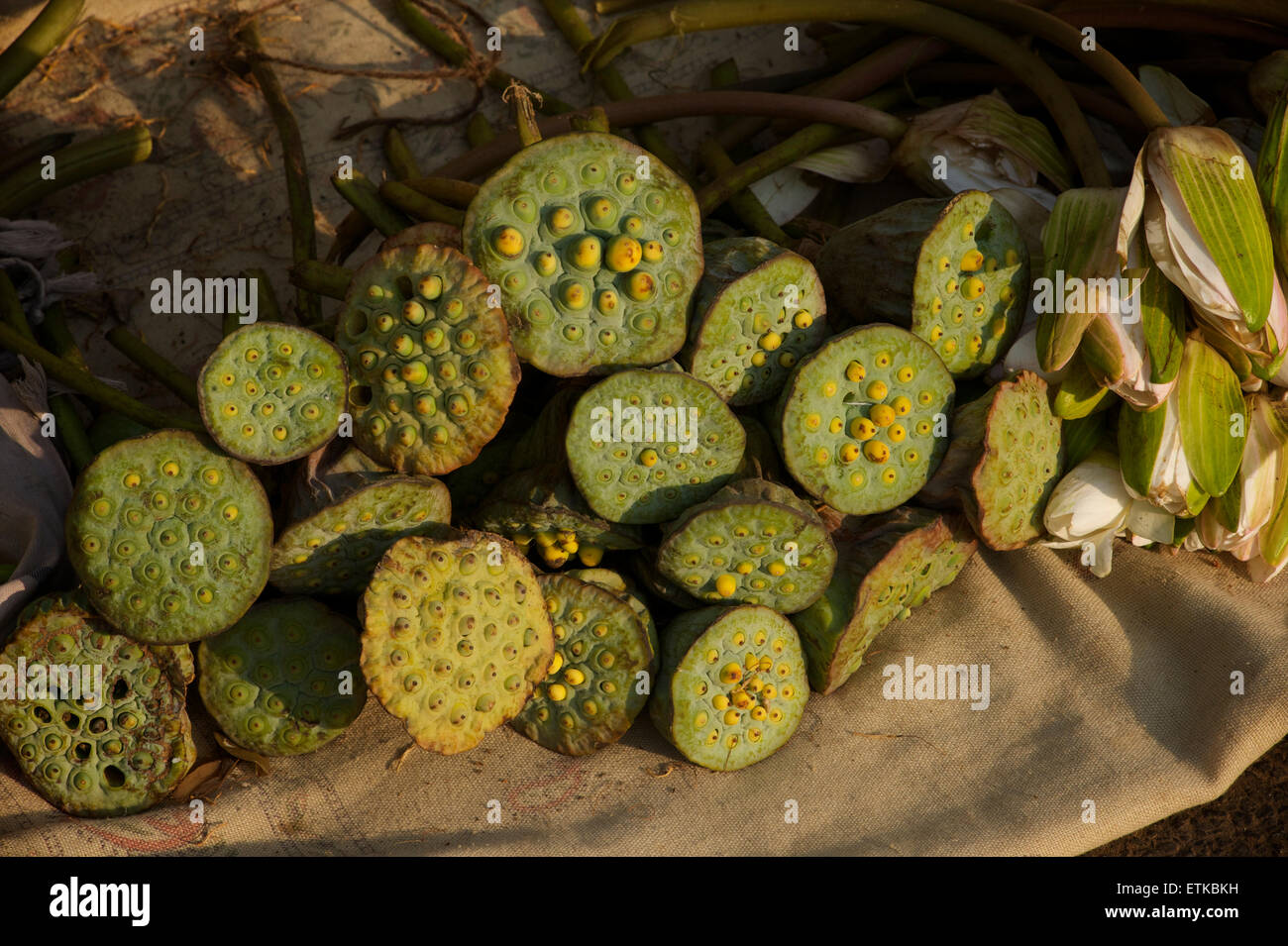 Commonly used in flower arrangements hi-res stock photography and ...