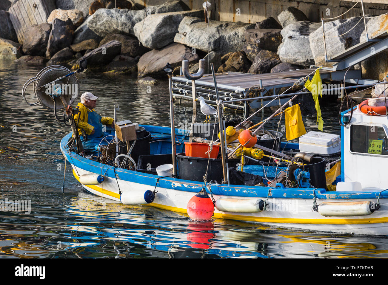 Fisherman on a boat driving into the harbor, Fishing boats in the ...