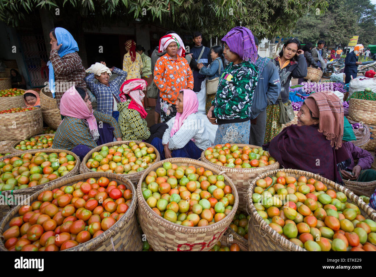 Women selling tomatoes at market in Monywa Myanmar Stock Photo - Alamy