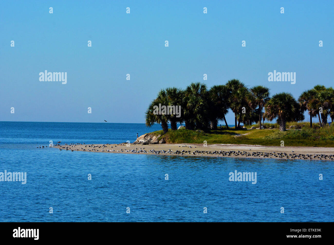Beautiful image taken at Fred Howard Beach, Tarpon Springs, Florida USA ...