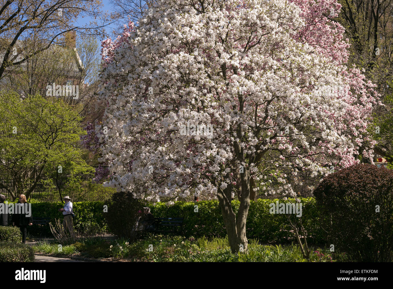 Central park conservancy hi-res stock photography and images - Alamy