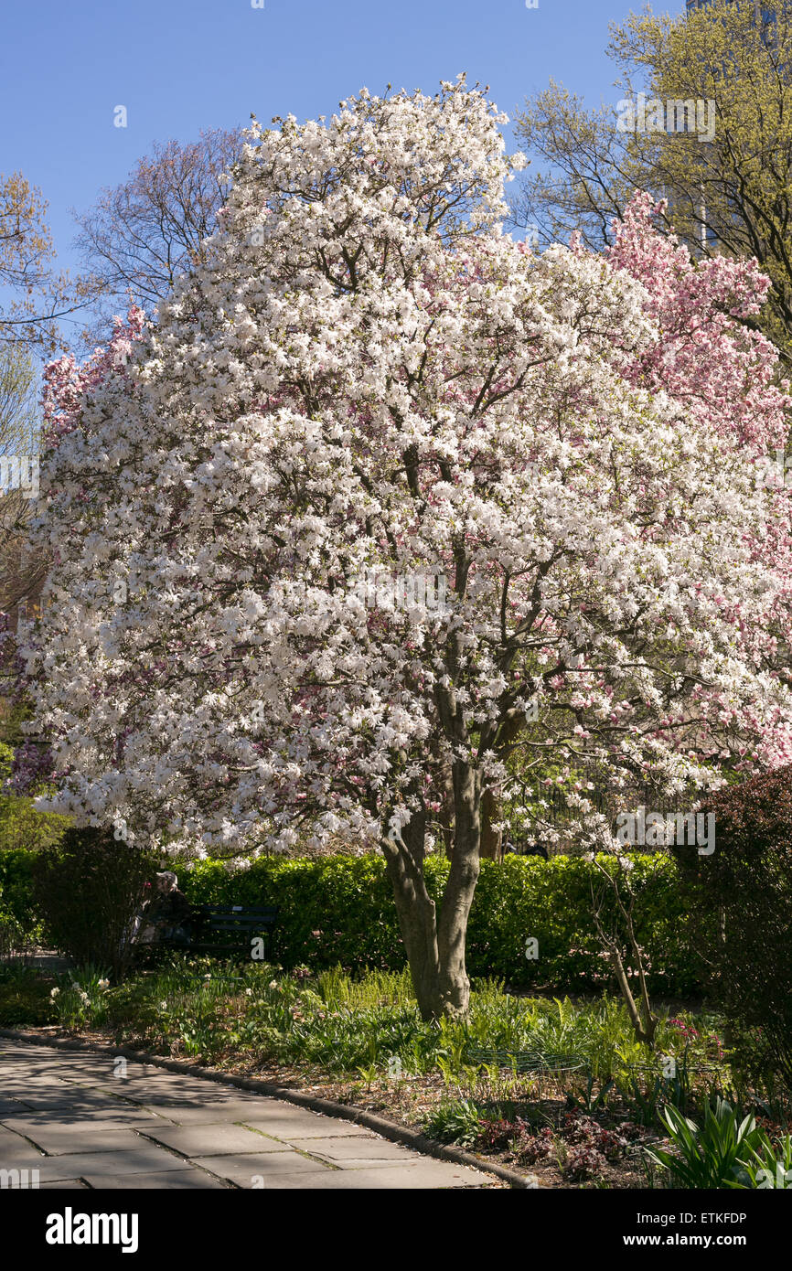 Central park conservancy hi-res stock photography and images - Alamy