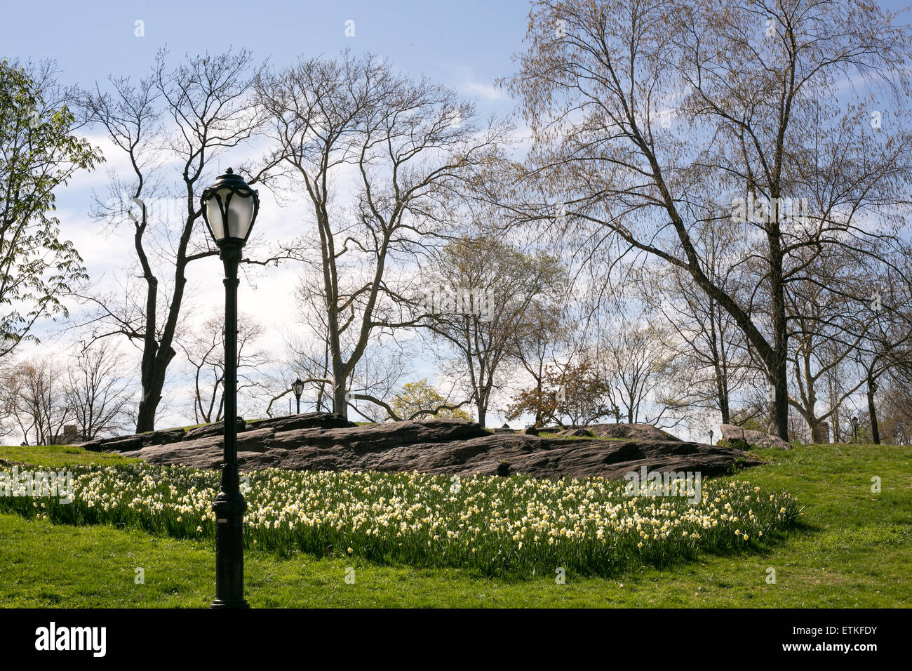 Flowers and trees in Central Park, New York City Stock Photo - Alamy