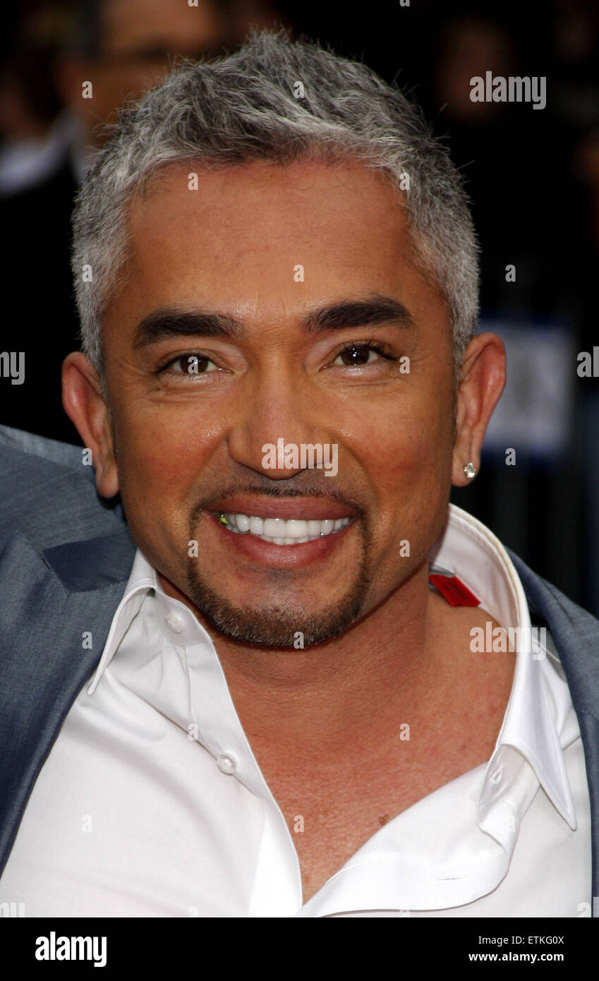 Cesar Millan at the Los Angeles premiere of 'The Back-Up Plan' held at ...