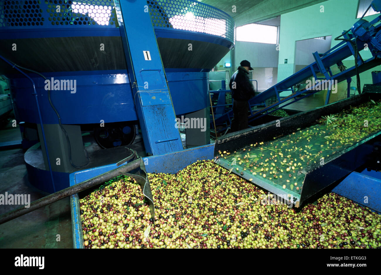 Olive Oil Mill Italy at Oliver Vaccari blog