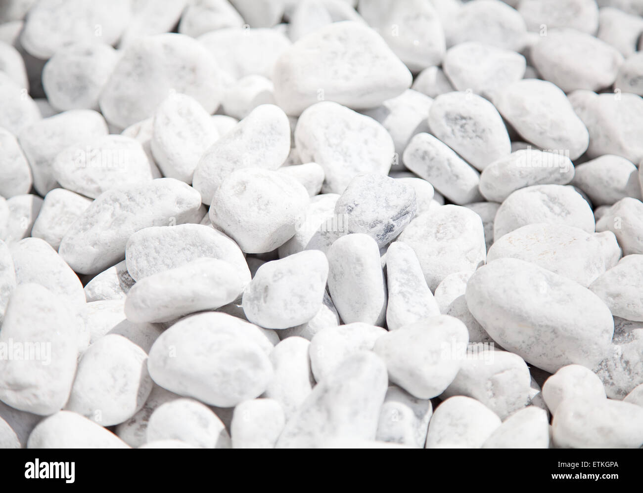 Shallow oval shape hi-res stock photography and images - Alamy
