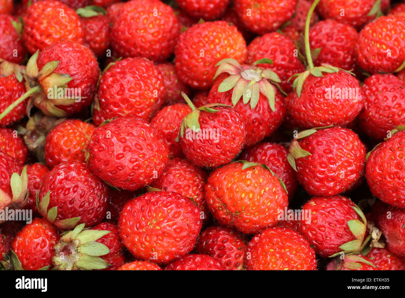 Strawberry pine hi-res stock photography and images - Alamy