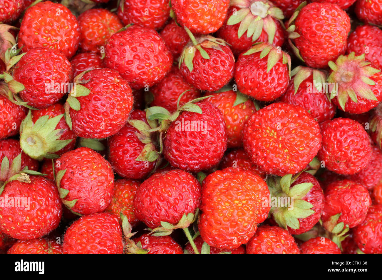 Pine strawberry background Stock Photo - Alamy