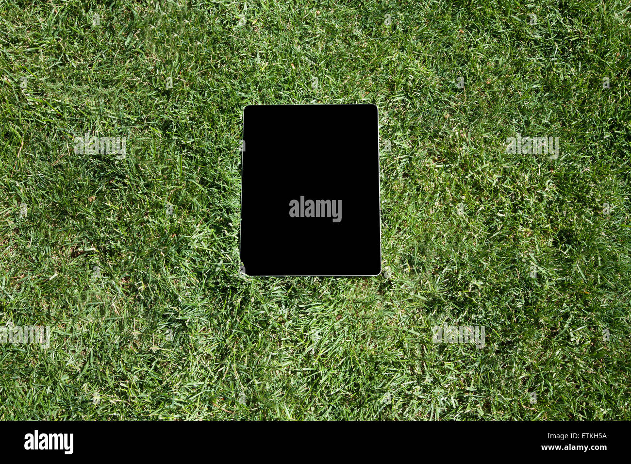 vertical digital tablet blank black screen on green grass lawn in park ...