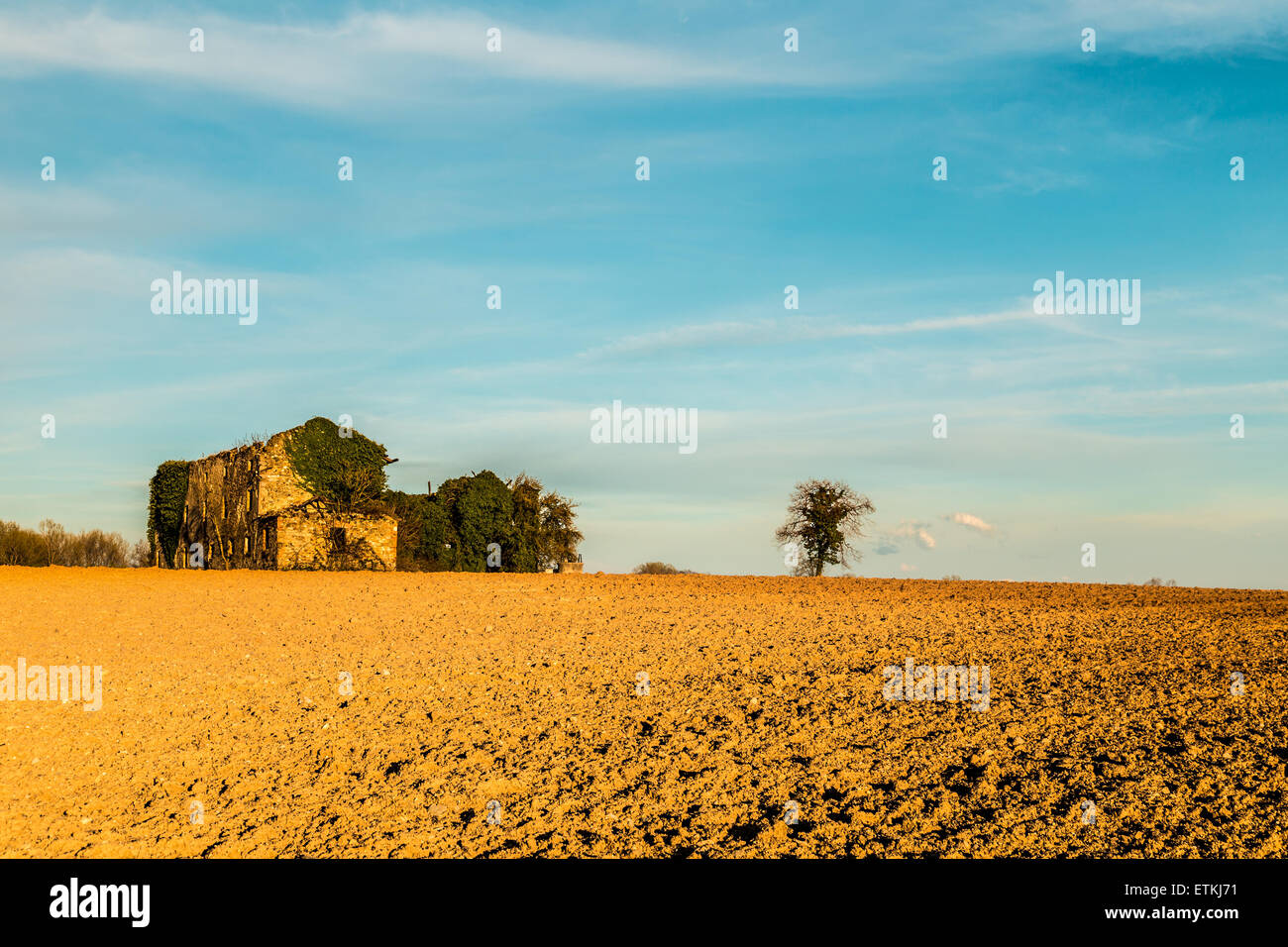 an abandoned and ruined farm in the fields of Italy Stock Photo - Alamy
