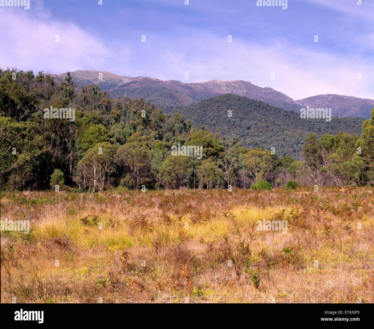 Australia: Western range of Snowy Mountains from Geehi, NSW Stock Photo ...