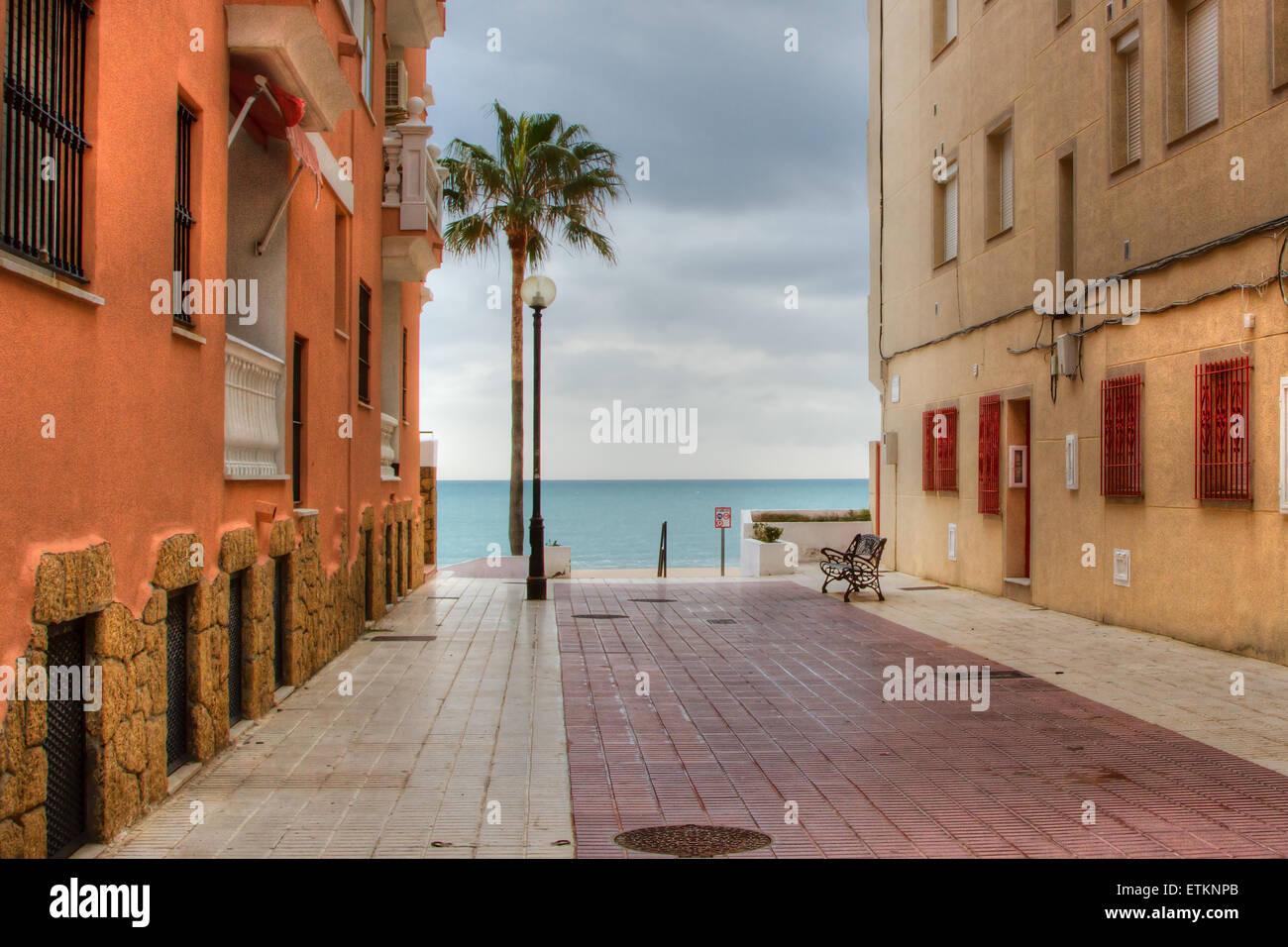 A view of a palm tree, beach, and Atlantic, Ocean from between ...