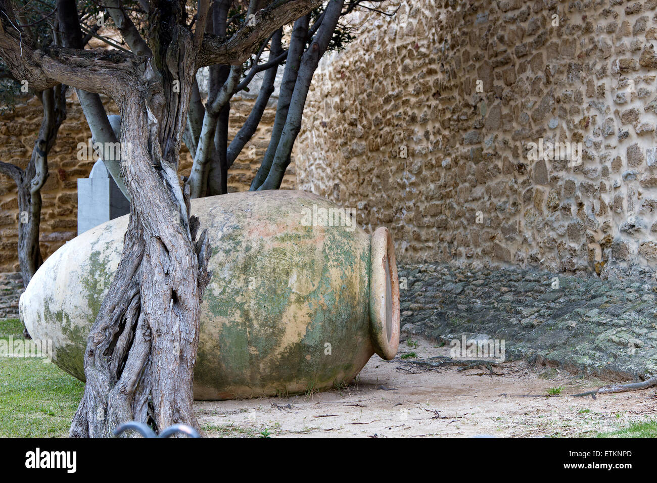 A medieval olive oil amphora at the Castillo de Luna, Rota, Spain Stock ...