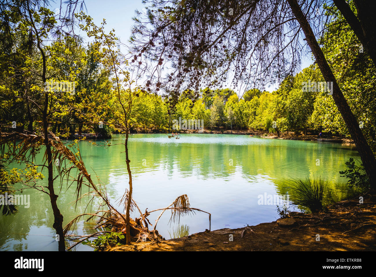 landscape with forests and natural lake in Valencia, Spain Stock Photo ...