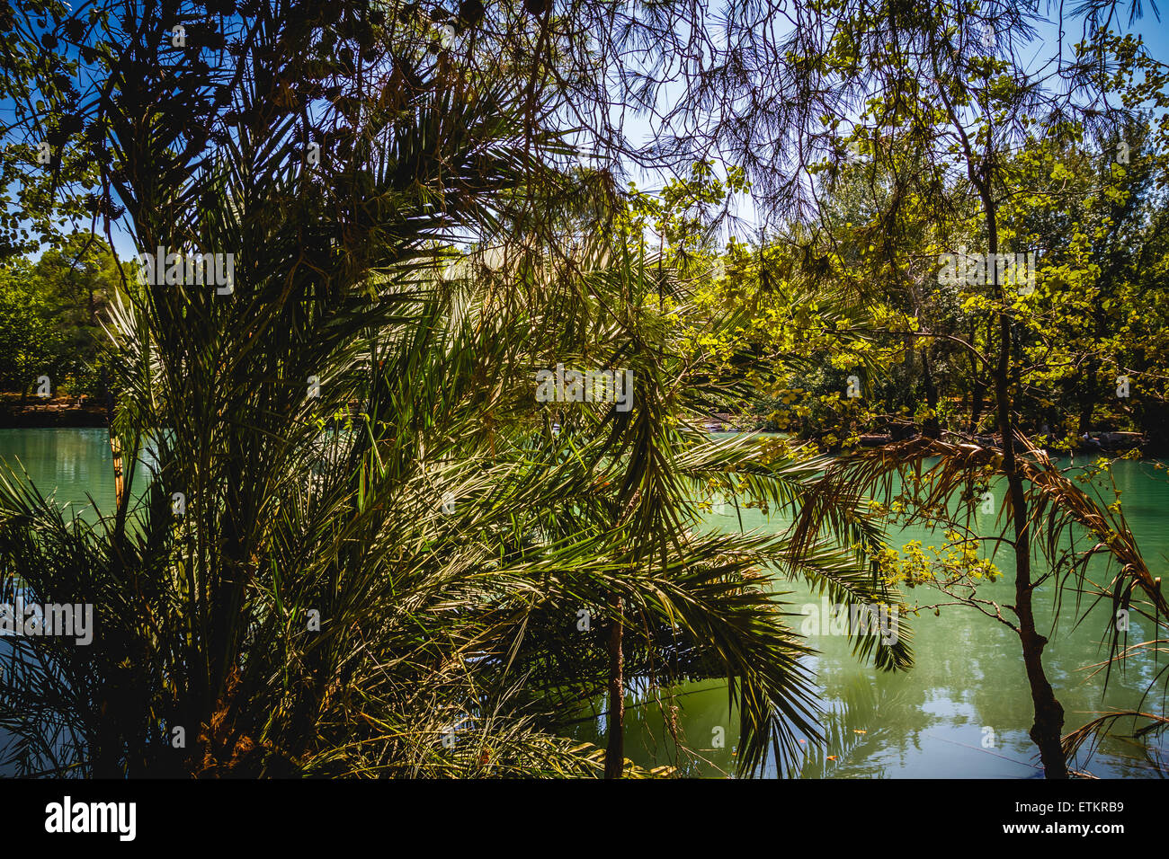 landscape with forests and natural lake in Valencia, Spain Stock Photo ...