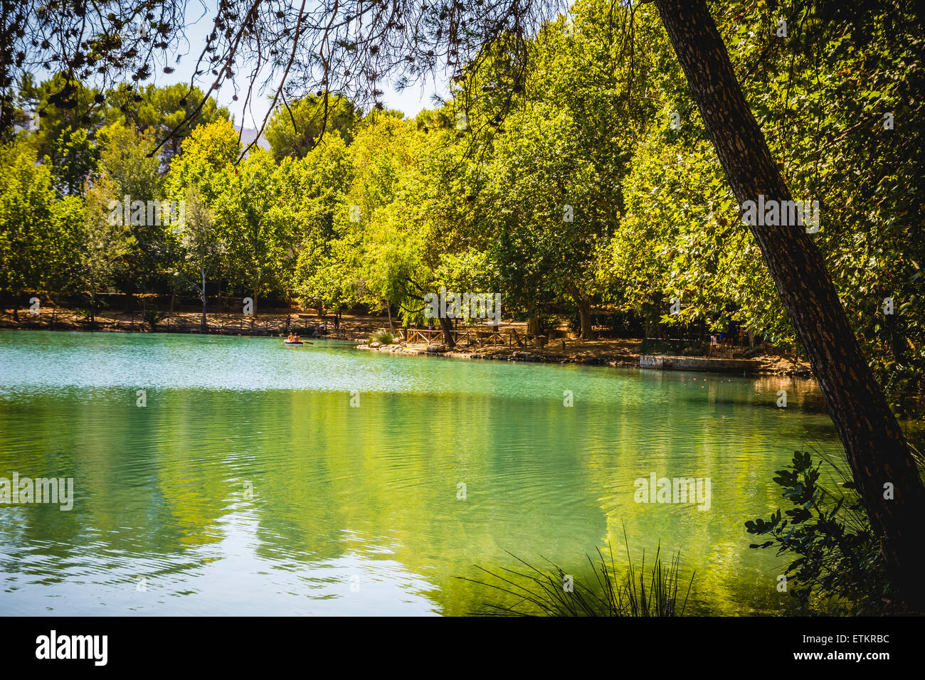 landscape with forests and natural lake in Valencia, Spain Stock Photo ...
