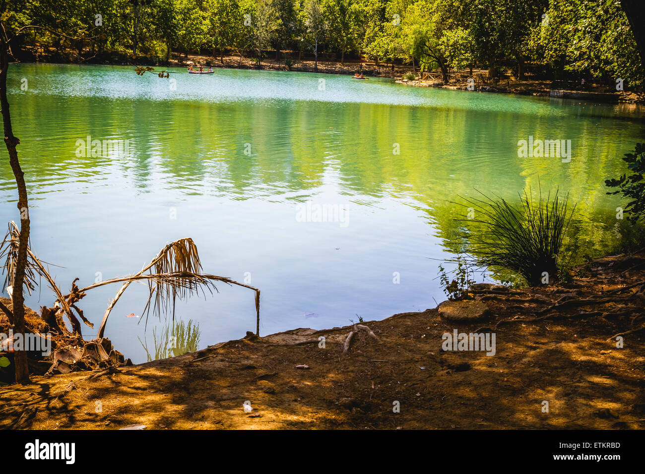landscape with forests and natural lake in Valencia, Spain Stock Photo ...