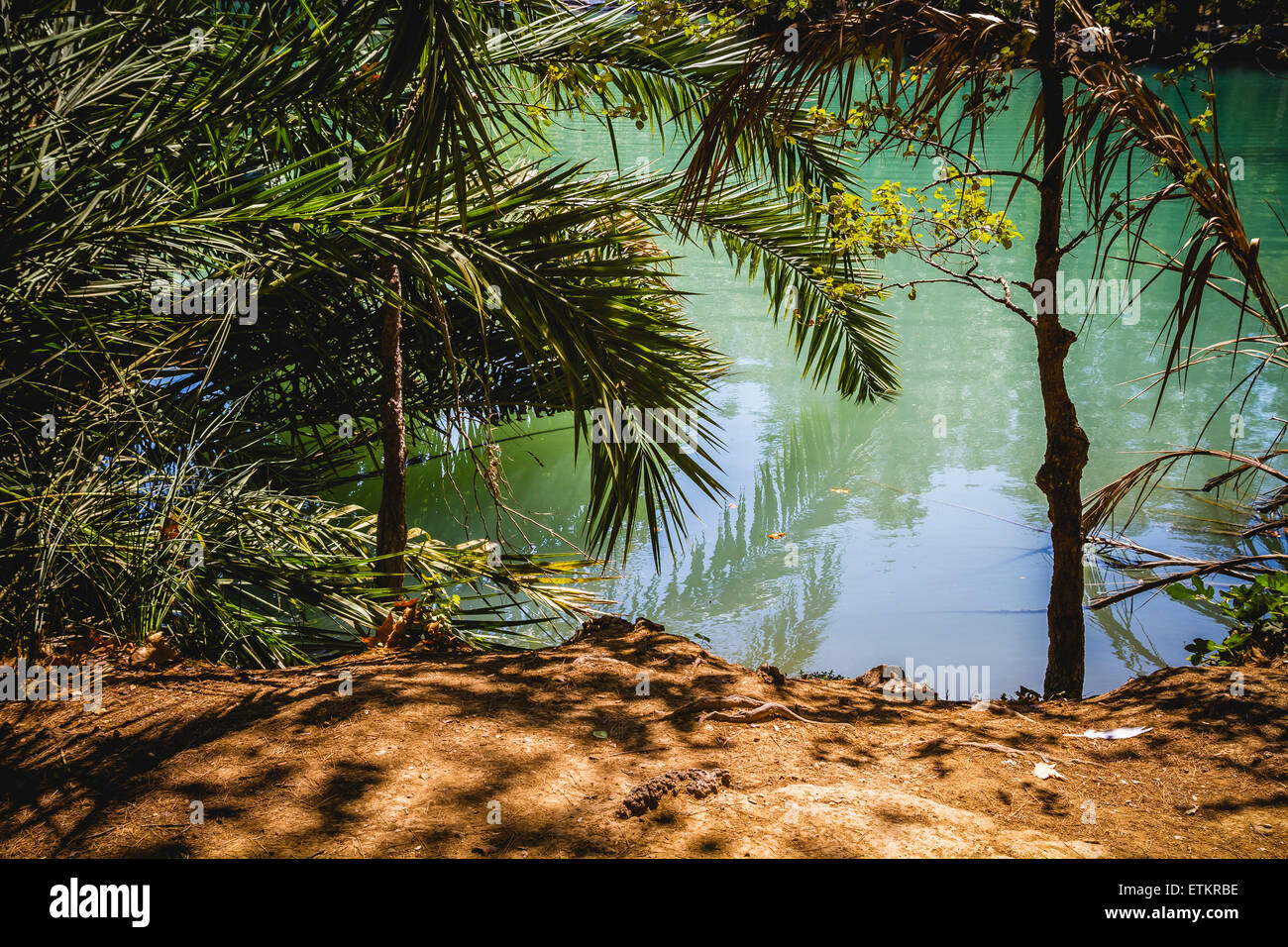 landscape with forests and natural lake in Valencia, Spain Stock Photo ...