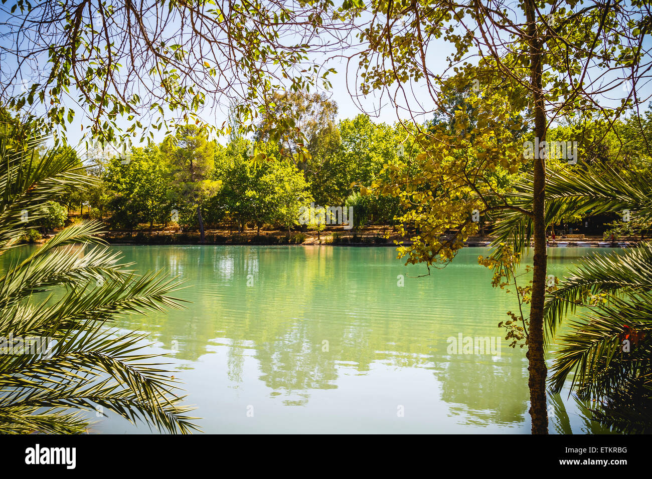 landscape with forests and natural lake in Valencia, Spain Stock Photo ...
