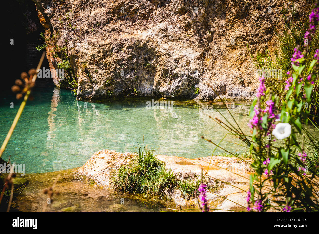landscape with forests and natural lake in Valencia, Spain Stock Photo ...
