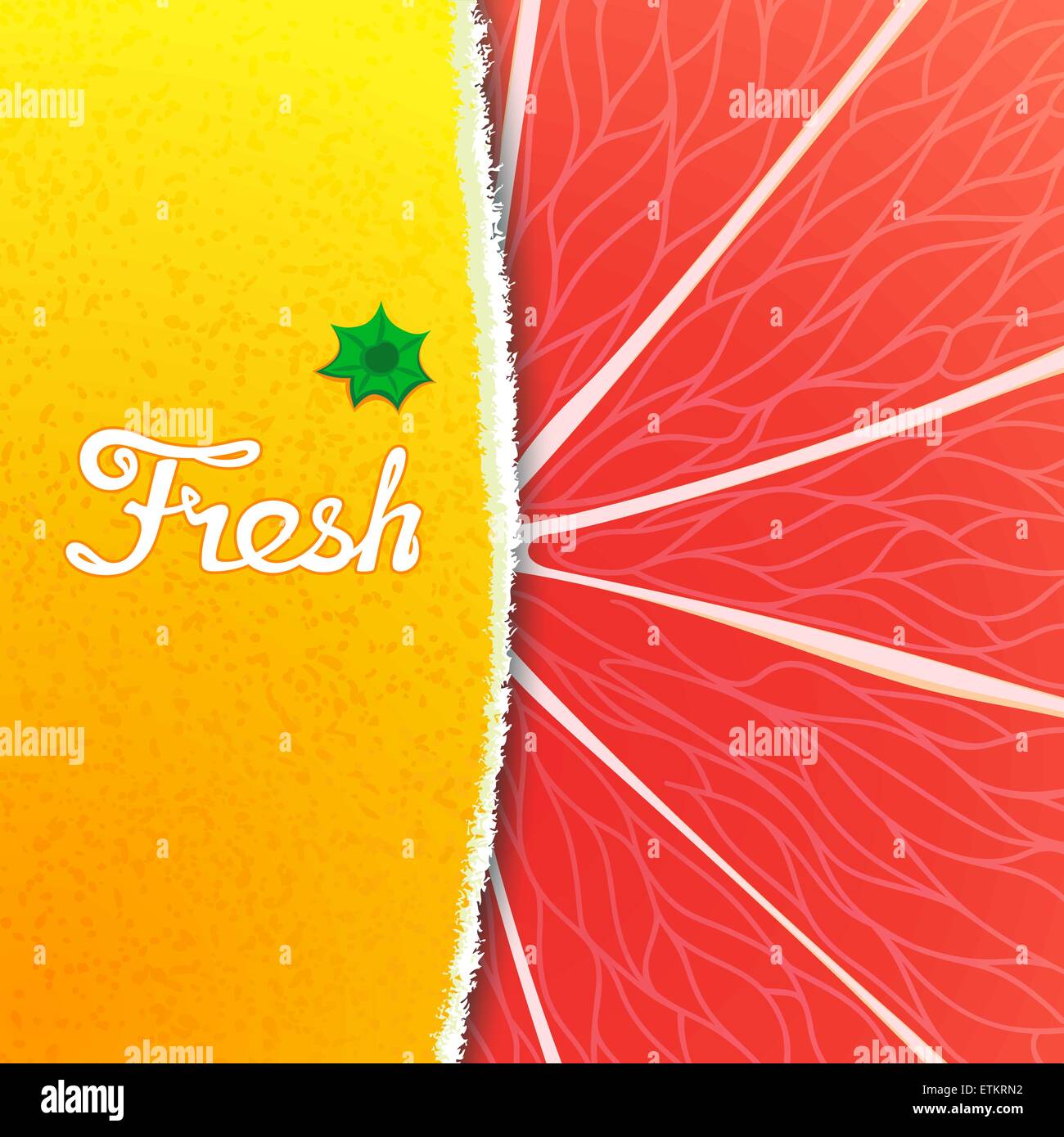 Grapefruit structure Stock Vector Images - Alamy