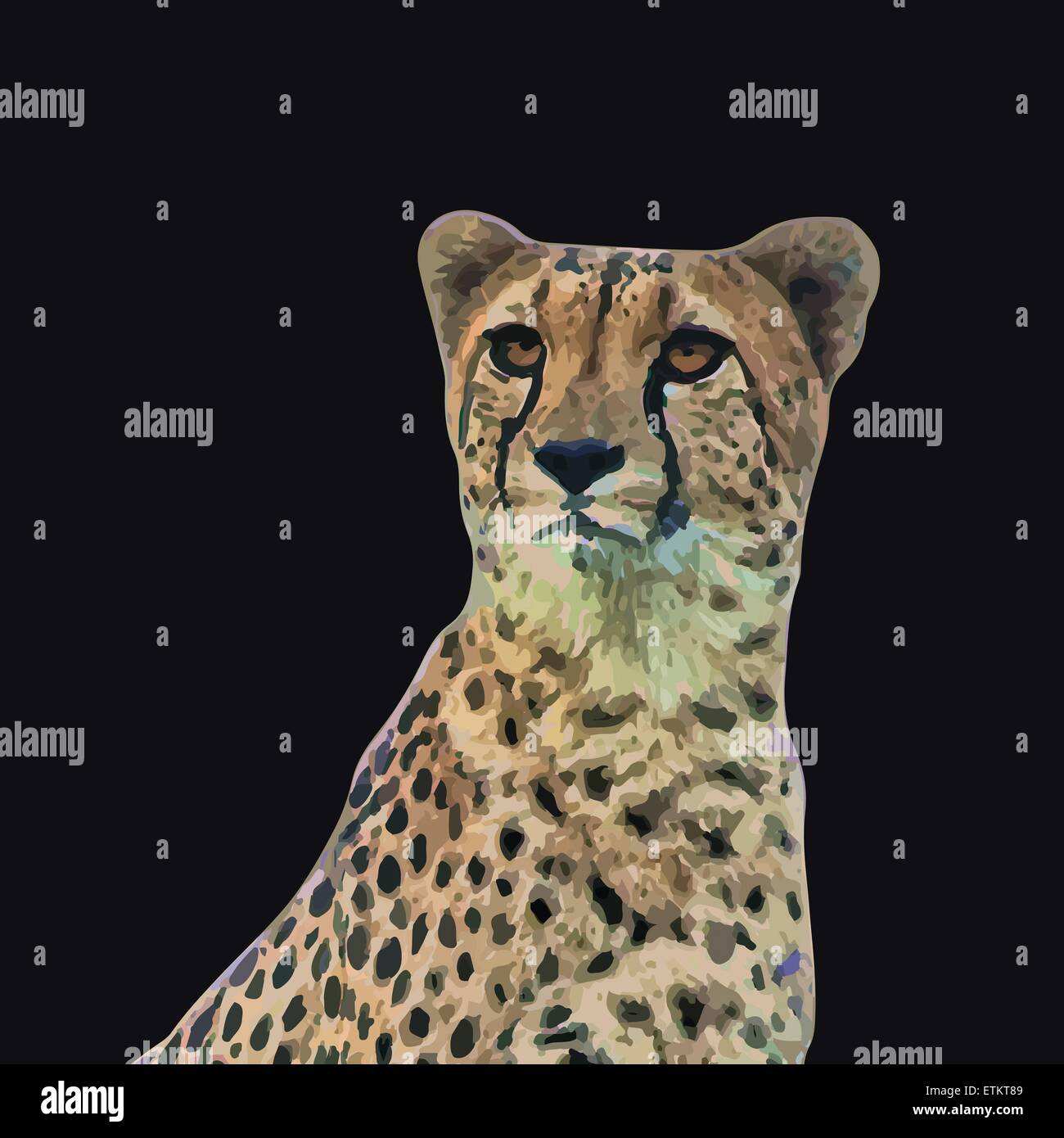 Portrait of cheetah sitting, vector illustration Stock Vector Image ...