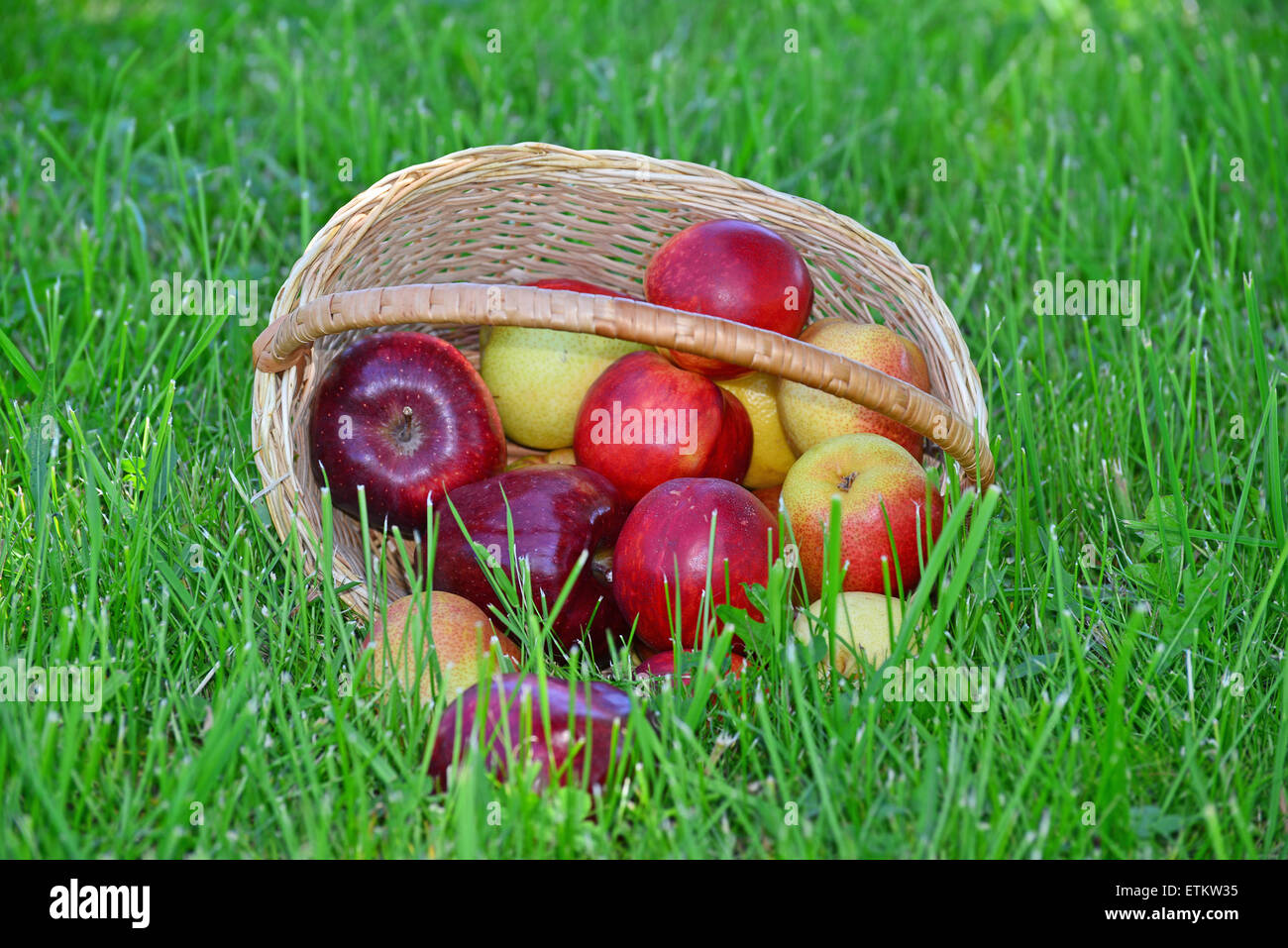 wicker basket with fruits on green grass Stock Photo - Alamy