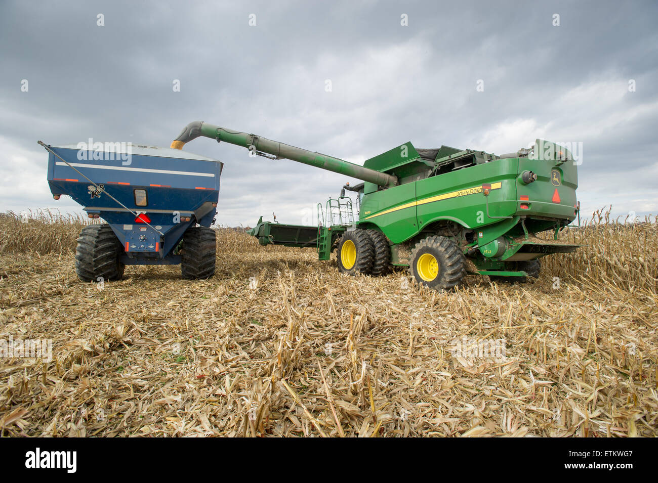 Combine harvester in corn hi-res stock photography and images - Alamy