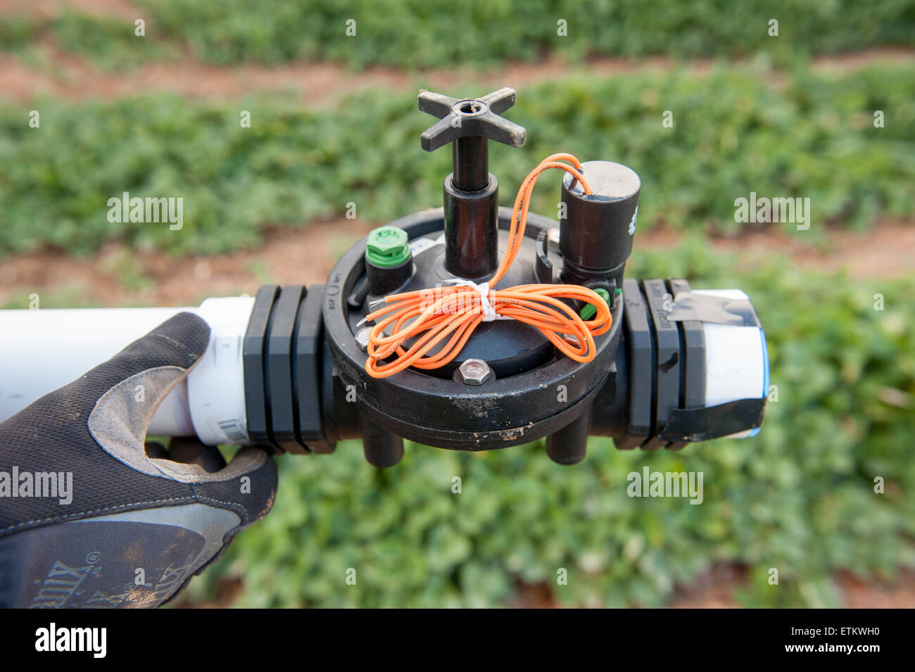 Gloved hand holding equipment for setting up moisture sensing unit at ...