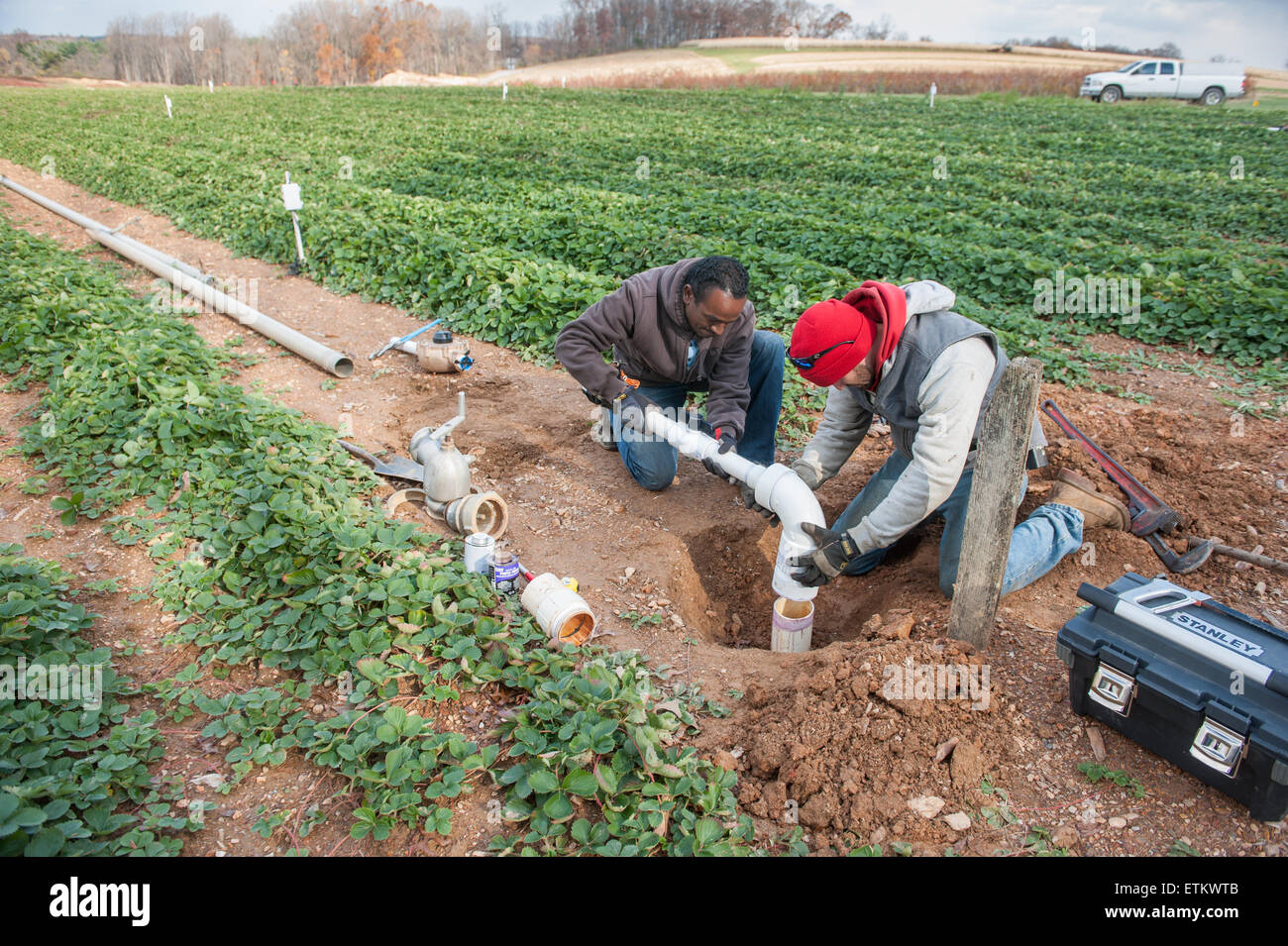 Workers installing remote moisture sensing units and irrigation ...