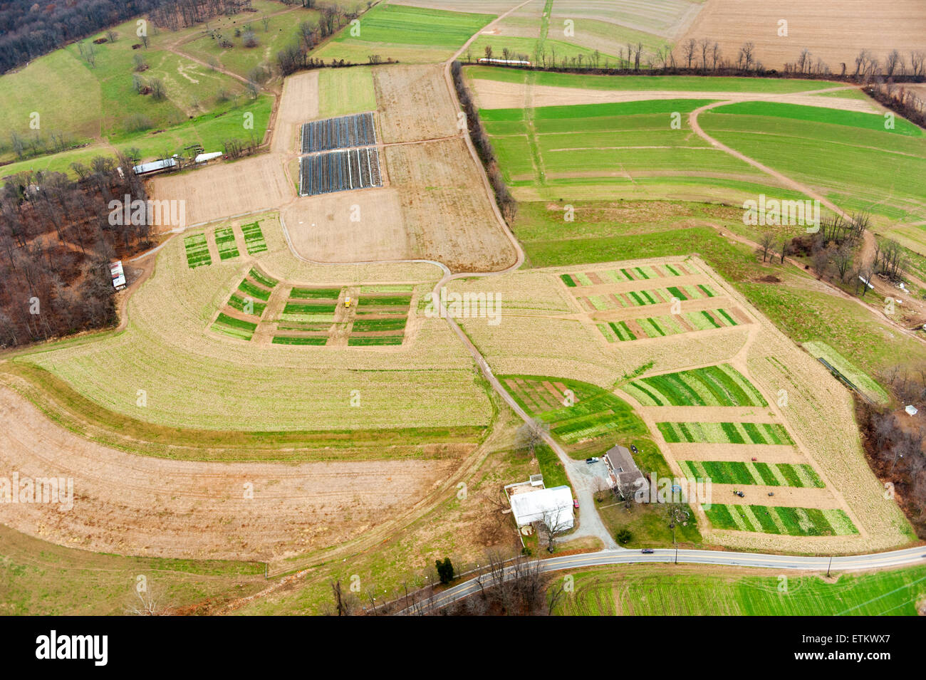 Crop variety hi-res stock photography and images - Alamy