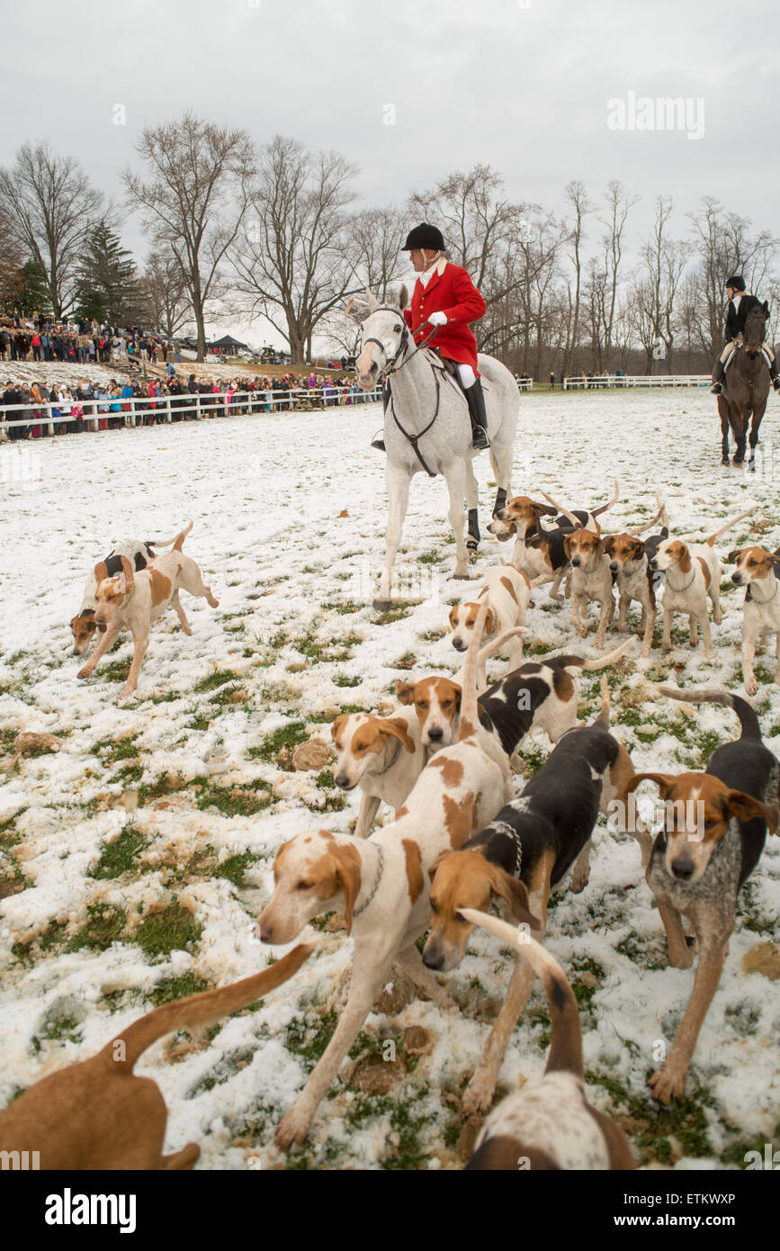 Fox hunters hi-res stock photography and images - Alamy