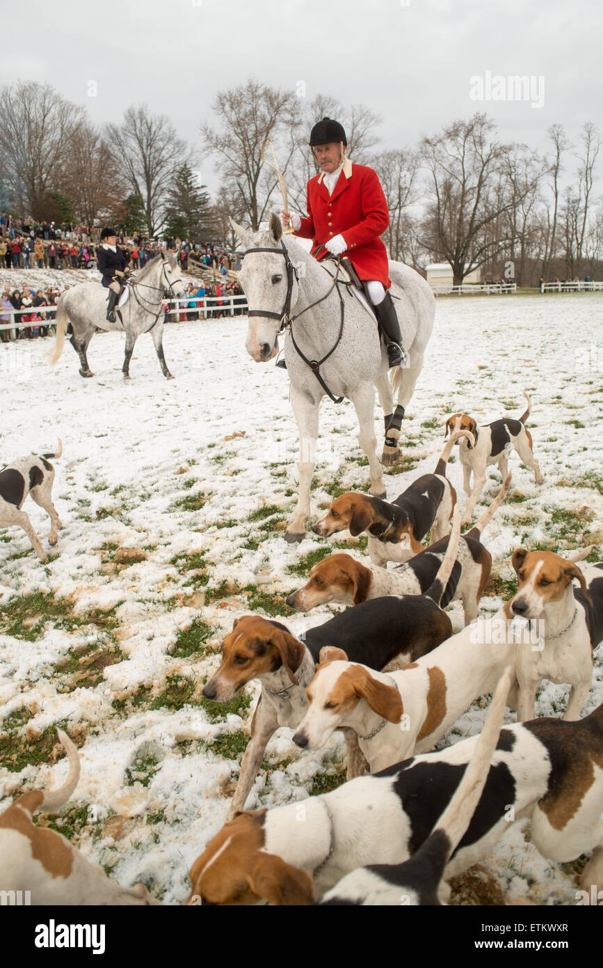 Fox hunters hi-res stock photography and images - Alamy