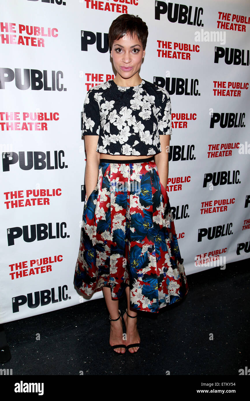Opening night after party for Josephine and I at The Public Theater ...