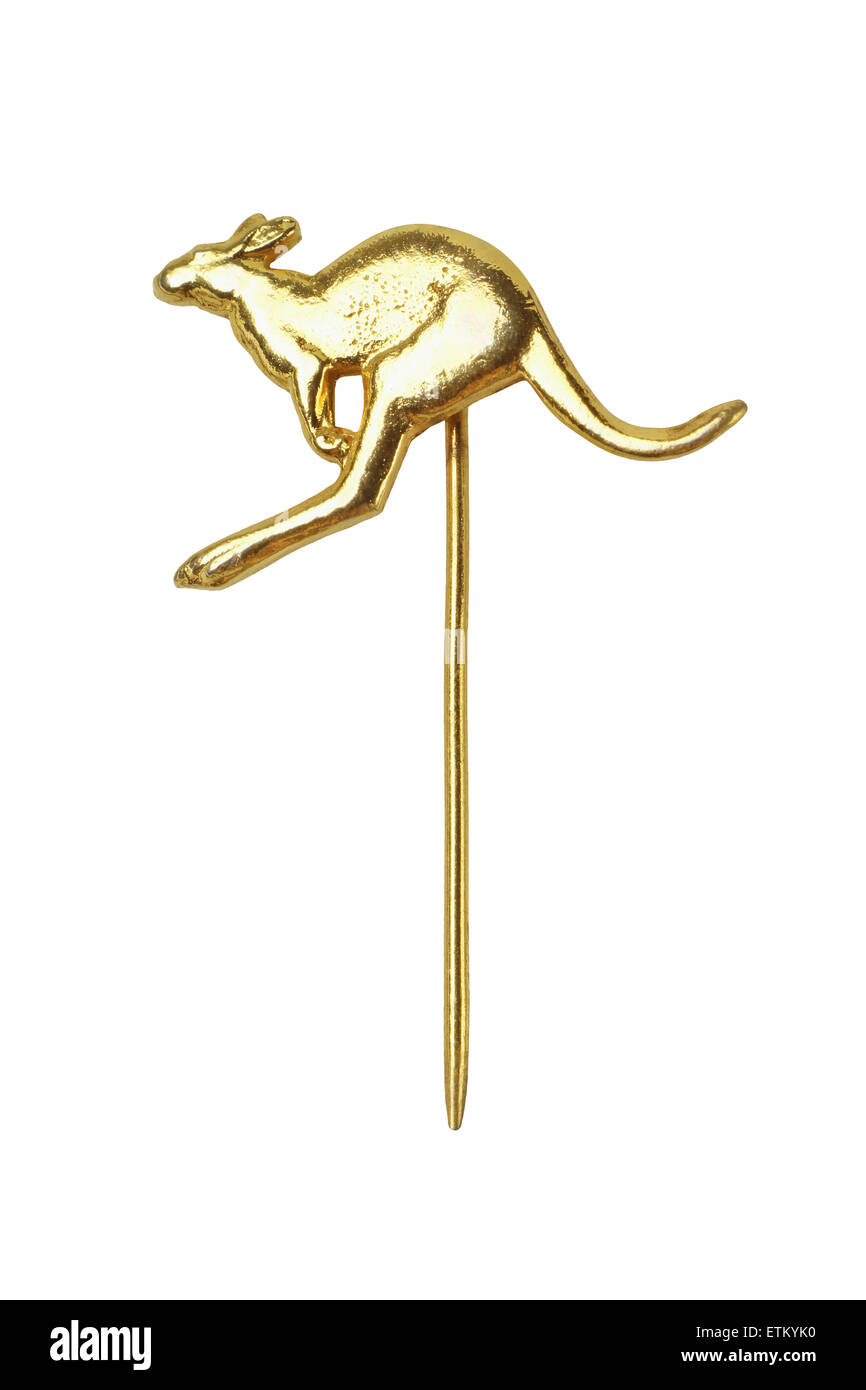 Kangaroo Lapel Pin on White Background Stock Photo - Alamy